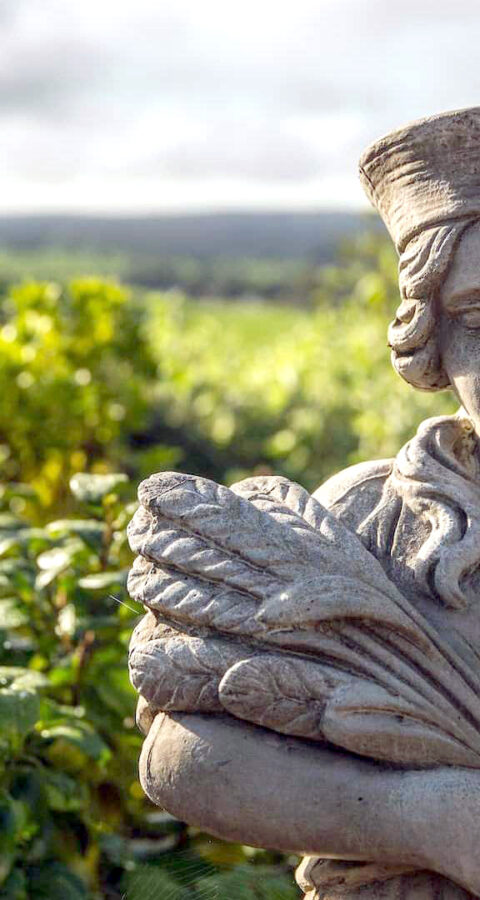 Theatre & Arts | Theatres in Northern Ireland | Corick House