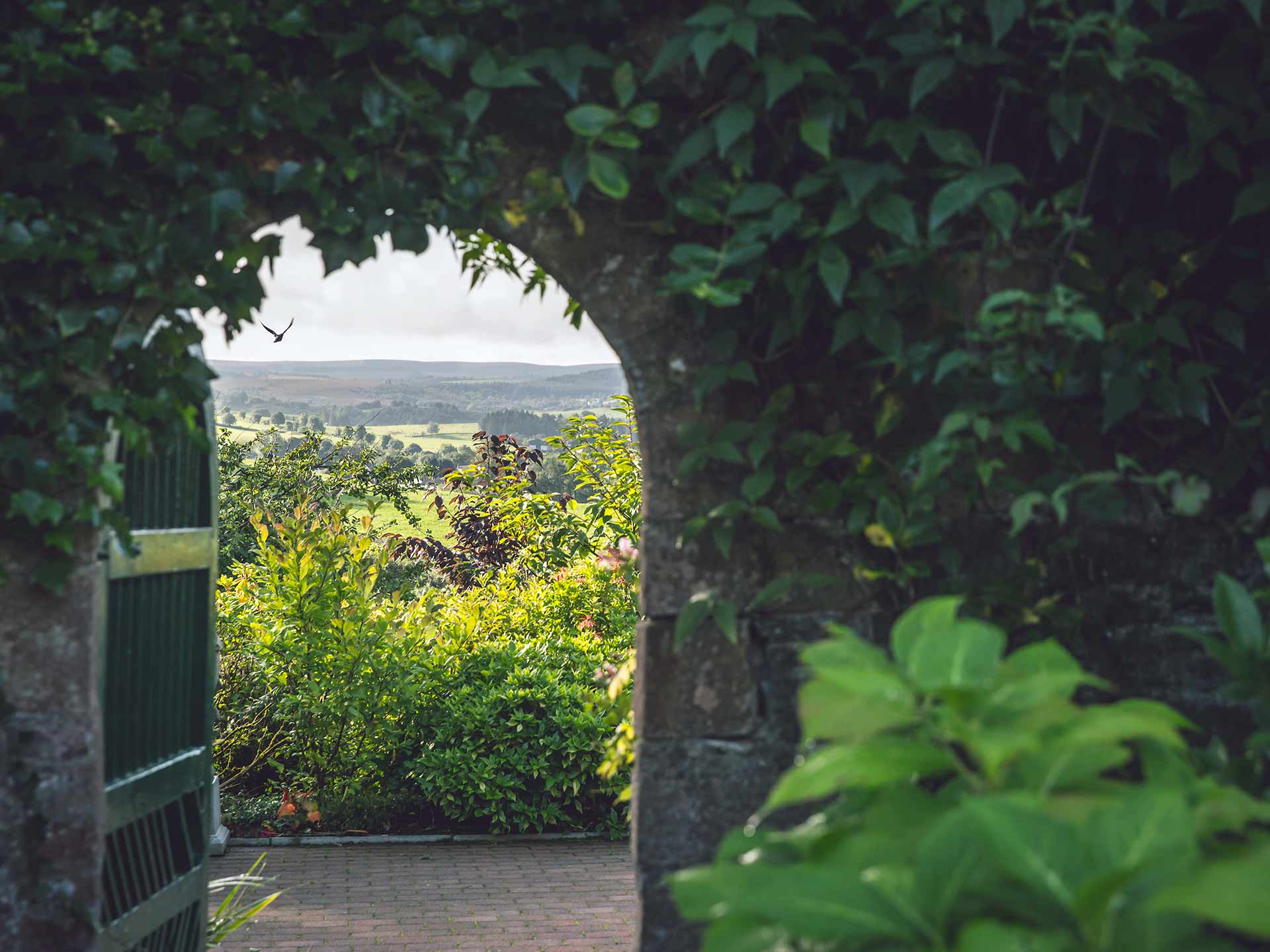 Special Offers | Hotel Deals Northern Ireland | Corick House