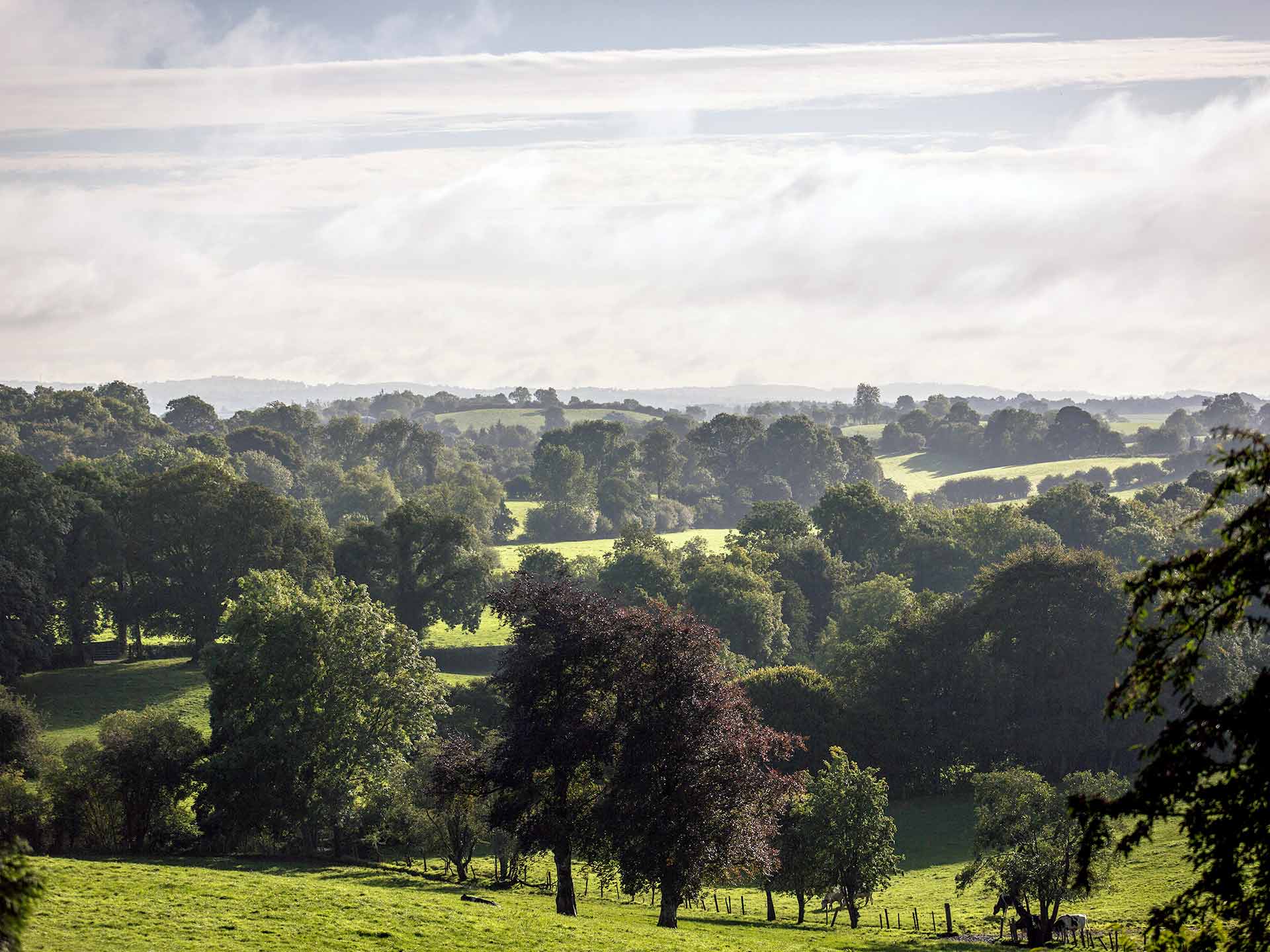 Hotel Gallery | 4-Star Corick House Hotel & Spa Tyrone